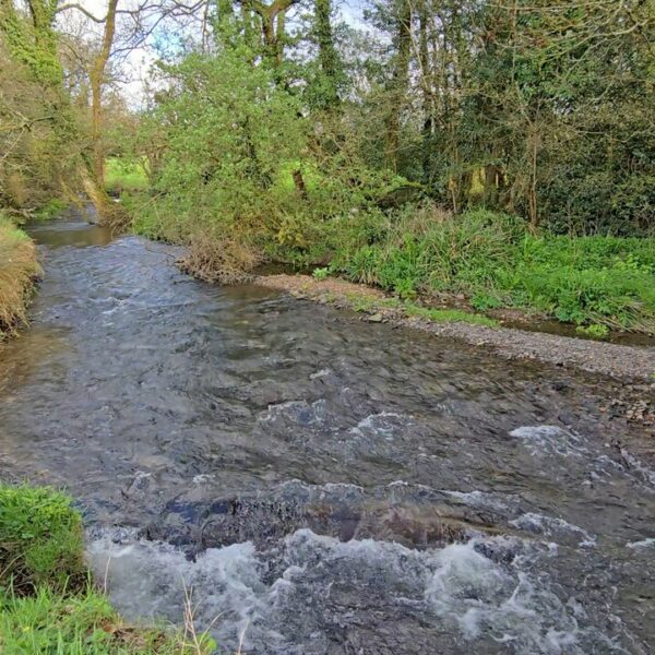 Fisheries and fishing venues for sale in the UK - Fisheries.co.uk