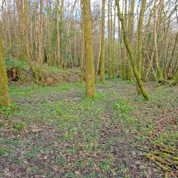 Sprighill Farm with River Lew Frontage - Fisheries.co.uk