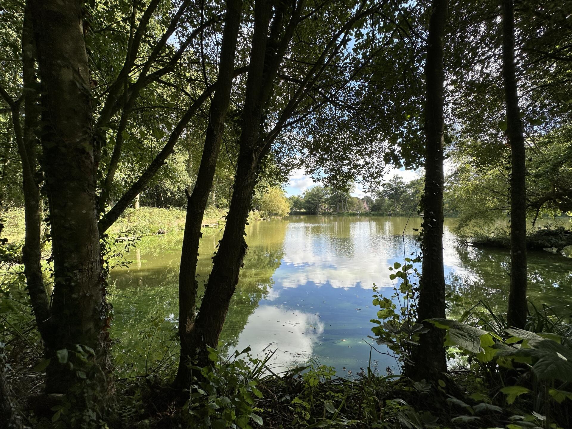 Shrewley Pools Farm - Fisheries.co.uk