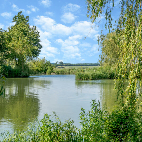 For sale | Fisheries.co.uk