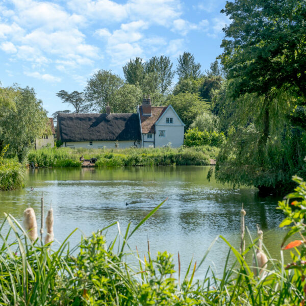 Weybread Lakes & Lodges | Fisheries.co.uk