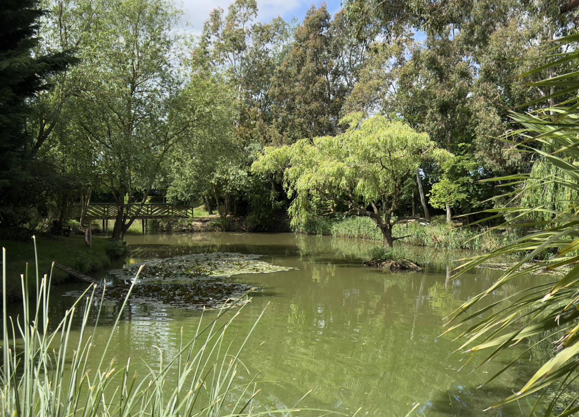 Strattons Farm - Cambridgeshire - Fisheries.co.uk