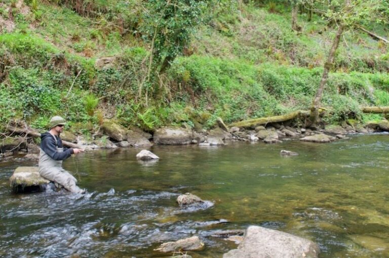 River Exe Fishing, from Source to Sea - Fisheries.co.uk