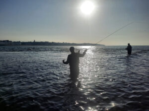 River Exe Fishing, from Source to Sea - Fisheries.co.uk
