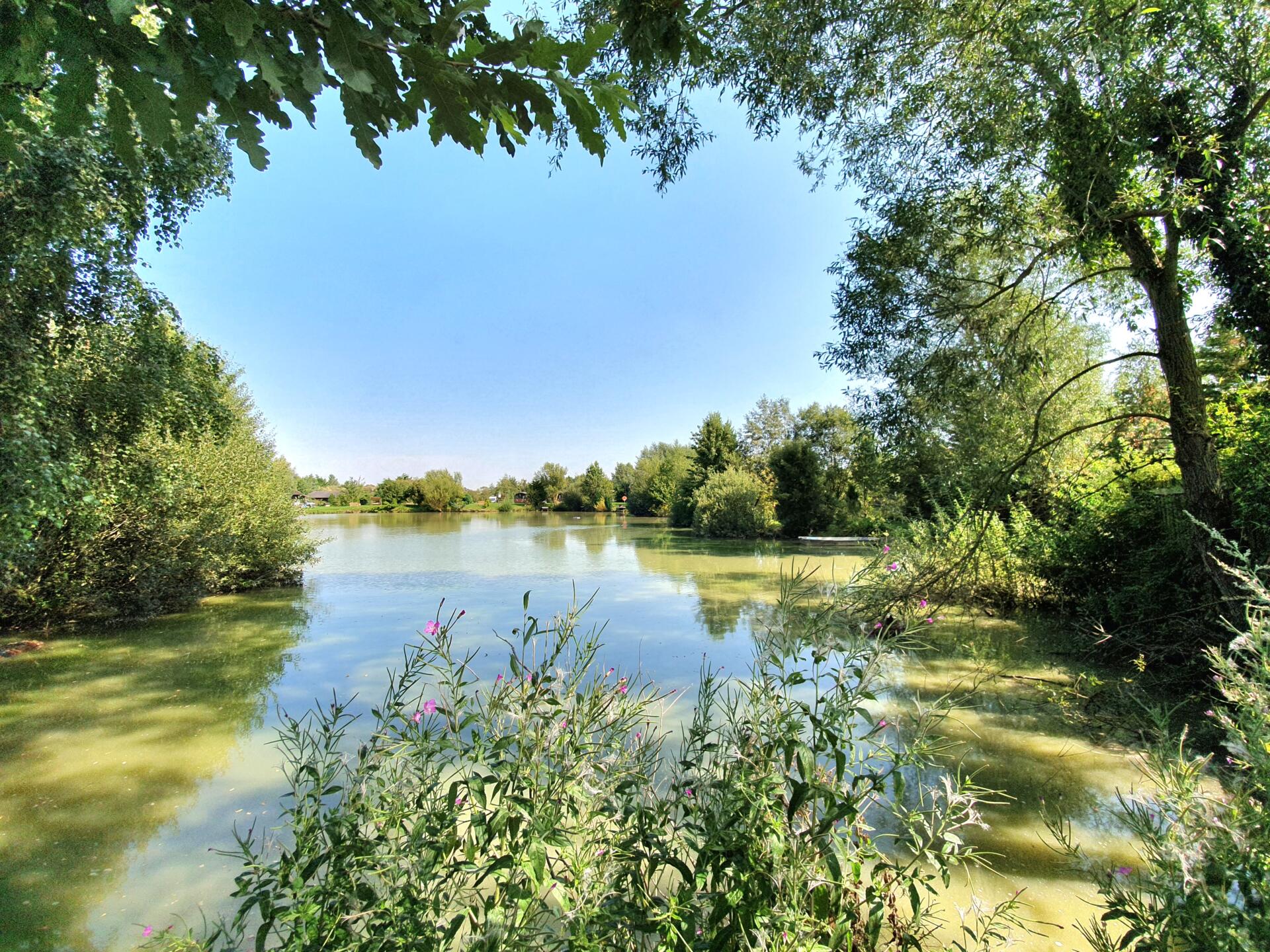 Yellowtop Country Park - Fisheries.co.uk