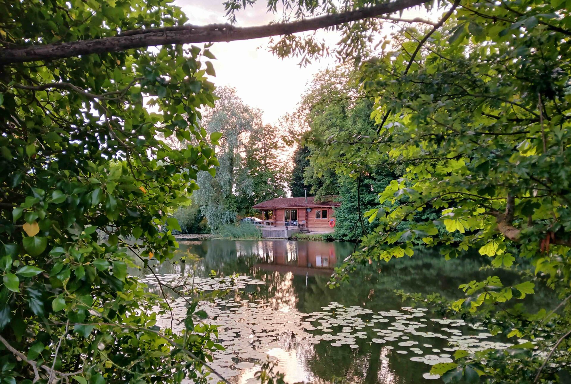 Willow Waters Fishery - Fisheries.co.uk